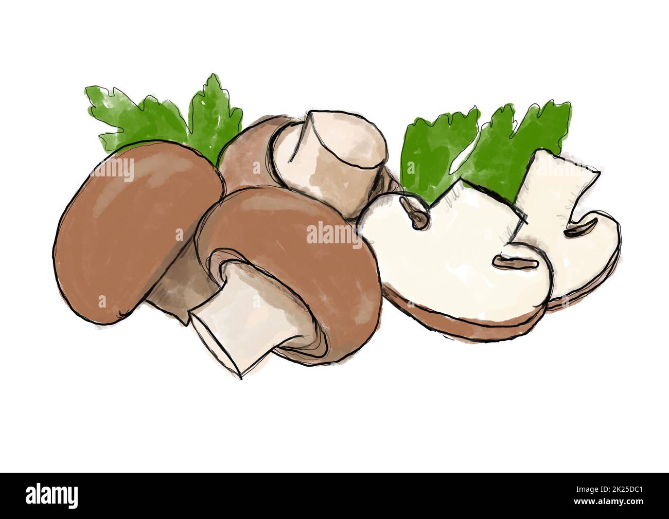 Champignions hi-res stock photography and images - Alamy