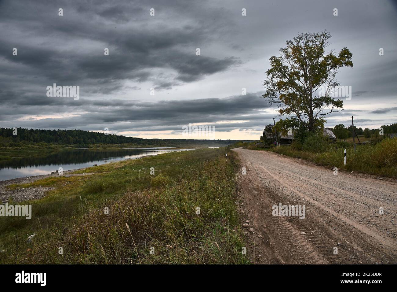 Rural gravel road in the forest Stock Photo - Alamy
