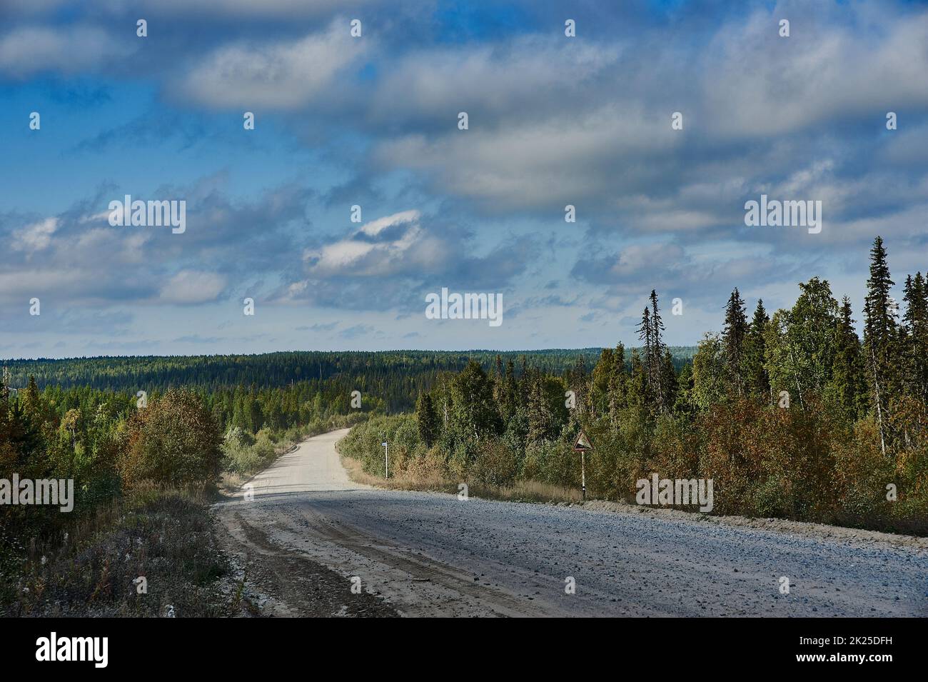 Rural gravel road in the forest Stock Photo - Alamy