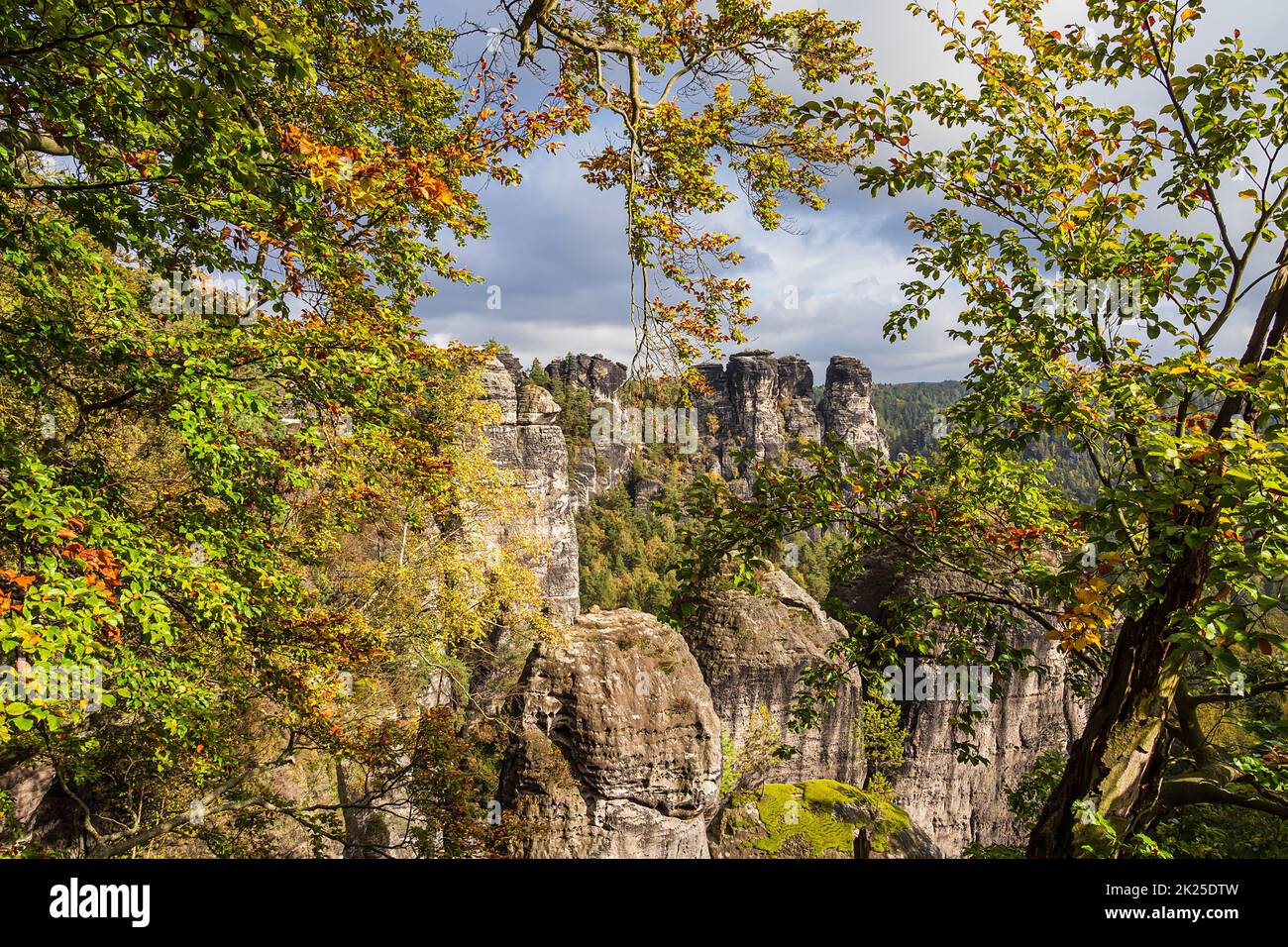 View to rocks and trees in the Saxon Sandstone Mountains, Germany Stock ...