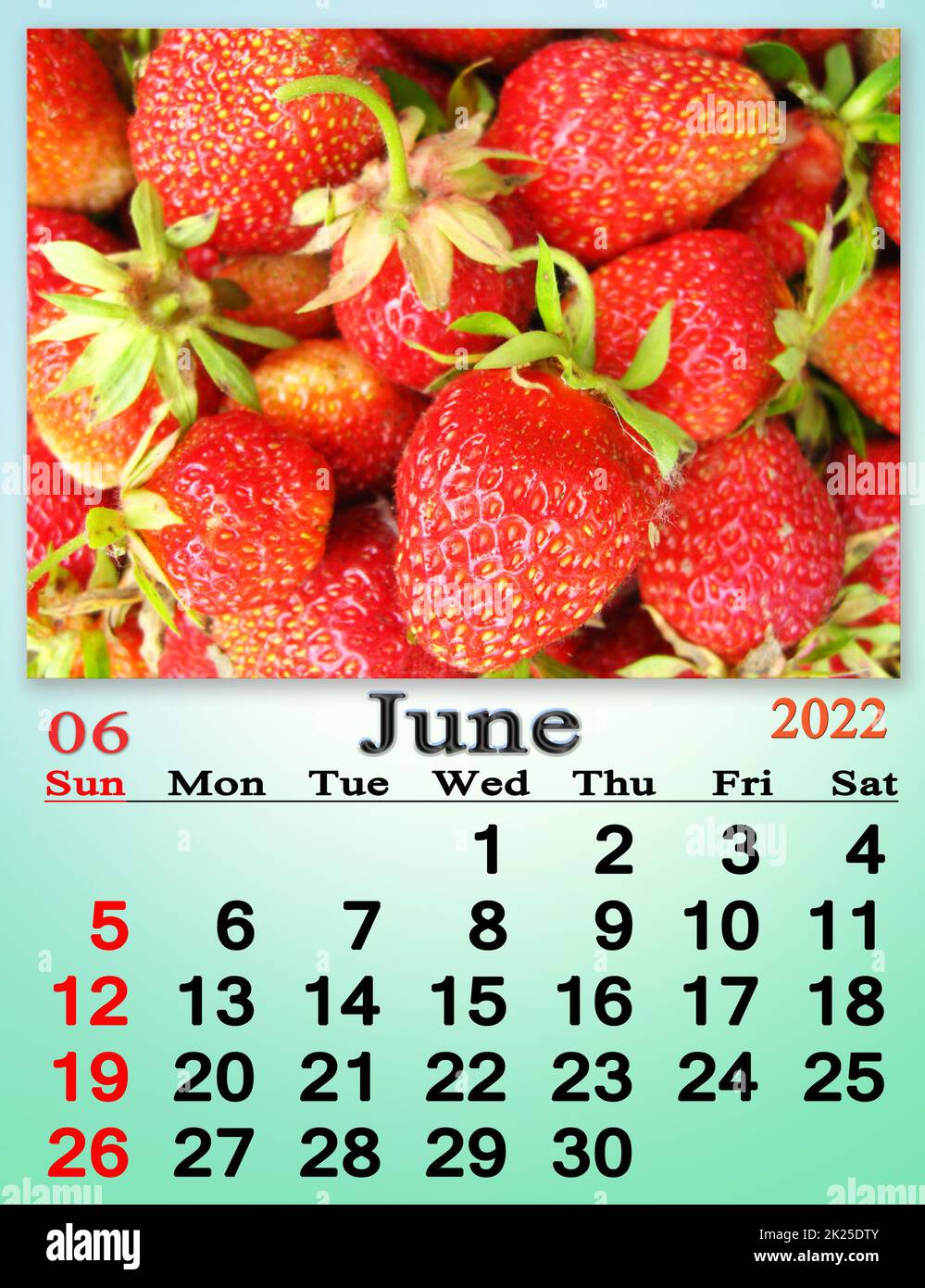 June 2022 Calendar for organizer to plan and reminder on nature ...