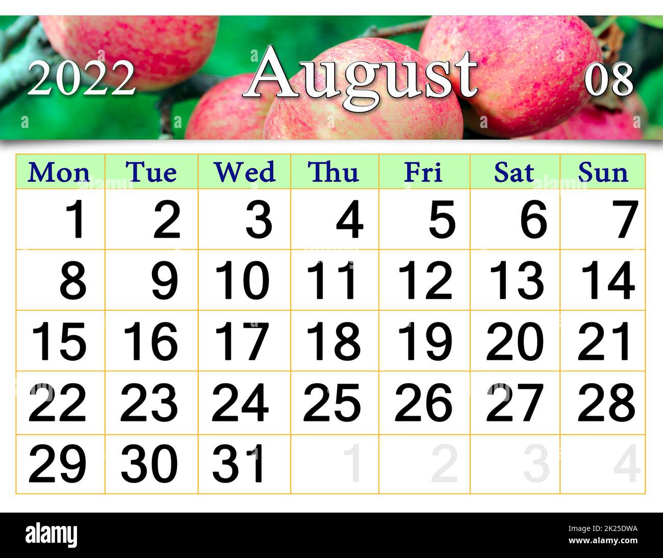 August 2022 Calendar for organizer to plan and reminder on nature ...