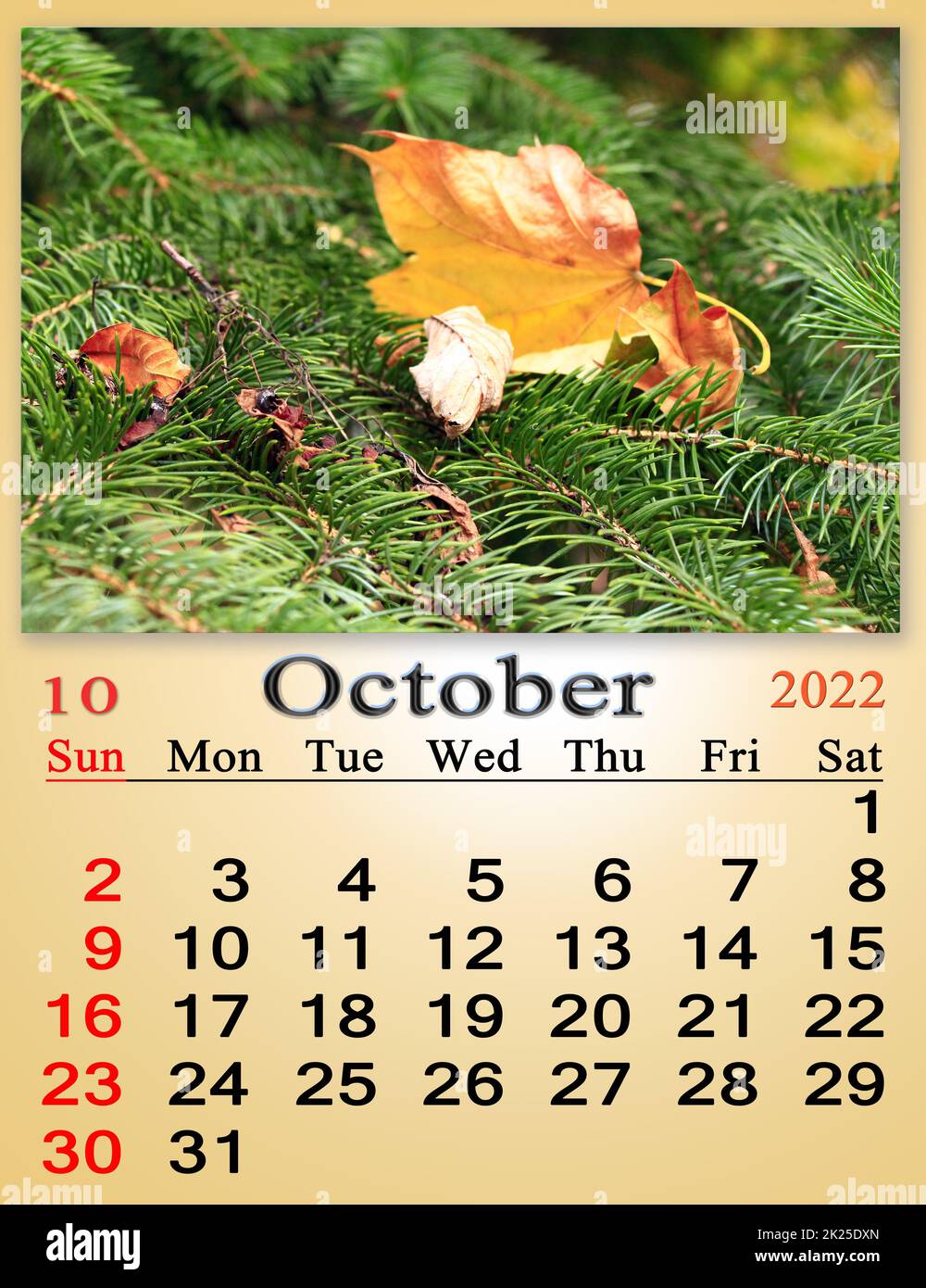 october 2022 calendar for organizer to plan and reminder on nature ...