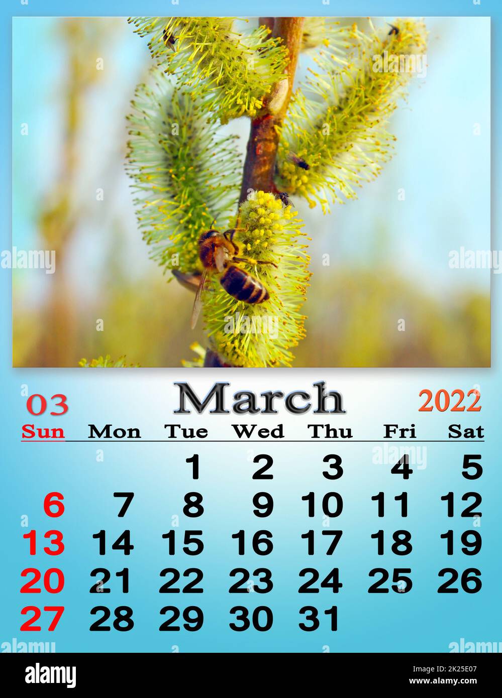 March 2022 Calendar for organizer to plan and reminder on nature ...