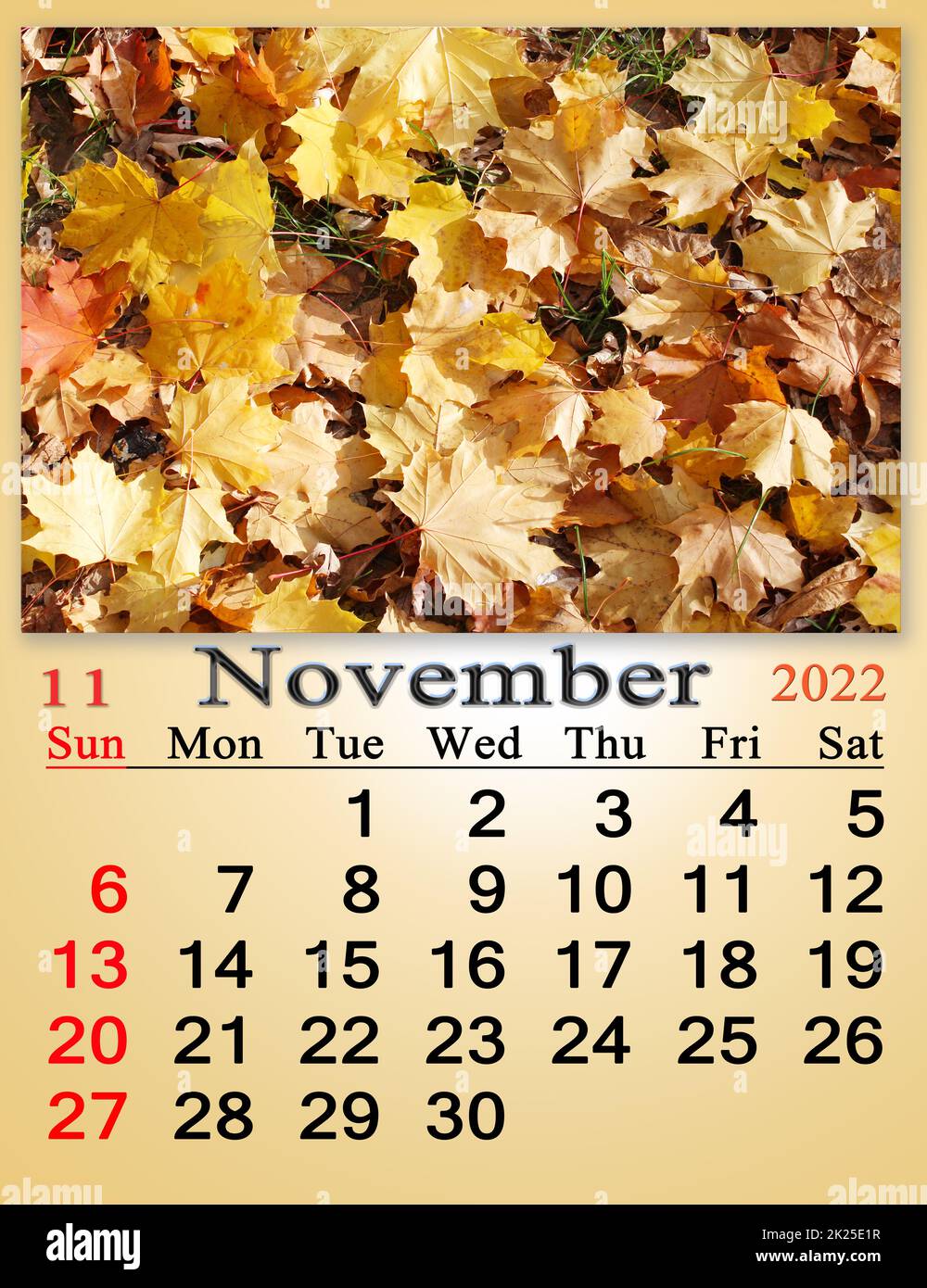 calendar for November 2022 with autumn park with trees in yellow color ...