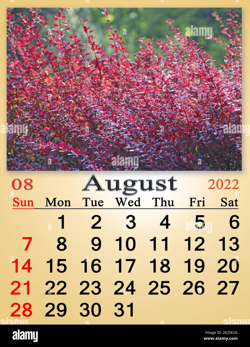 August 2022 Calendar for organizer to plan and reminder on nature ...