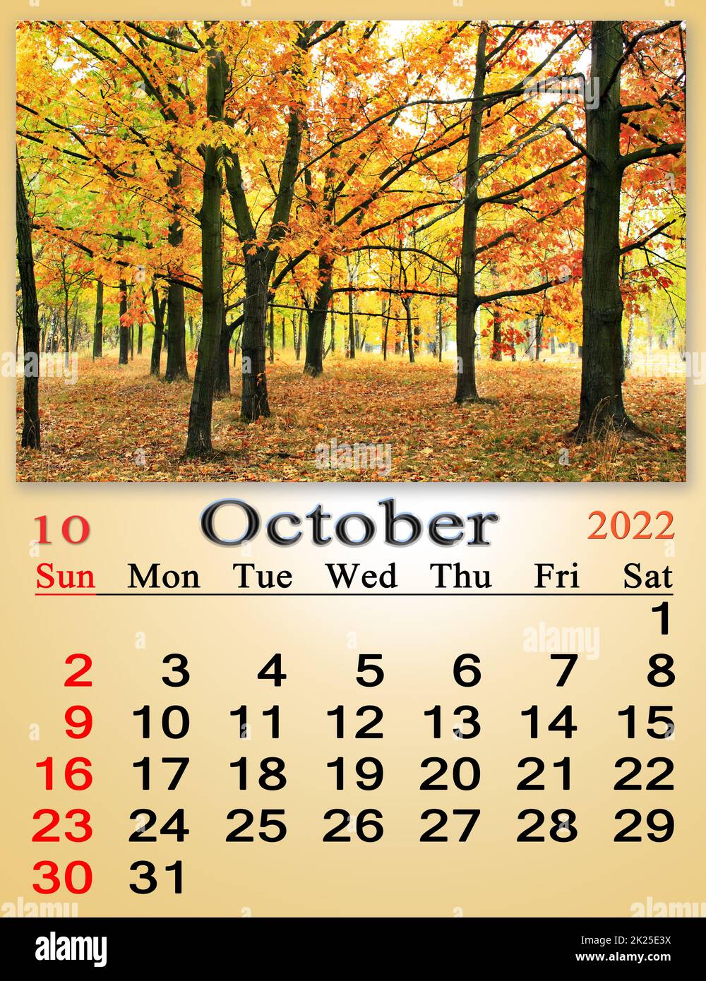 october 2022 calendar for organizer to plan and reminder on nature ...