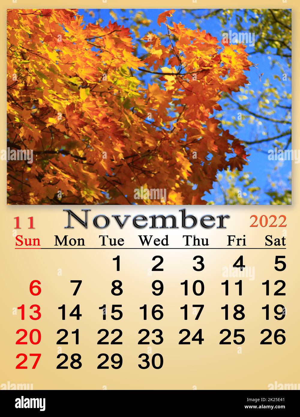 calendar for November 2022 with autumn park with trees in yellow color ...