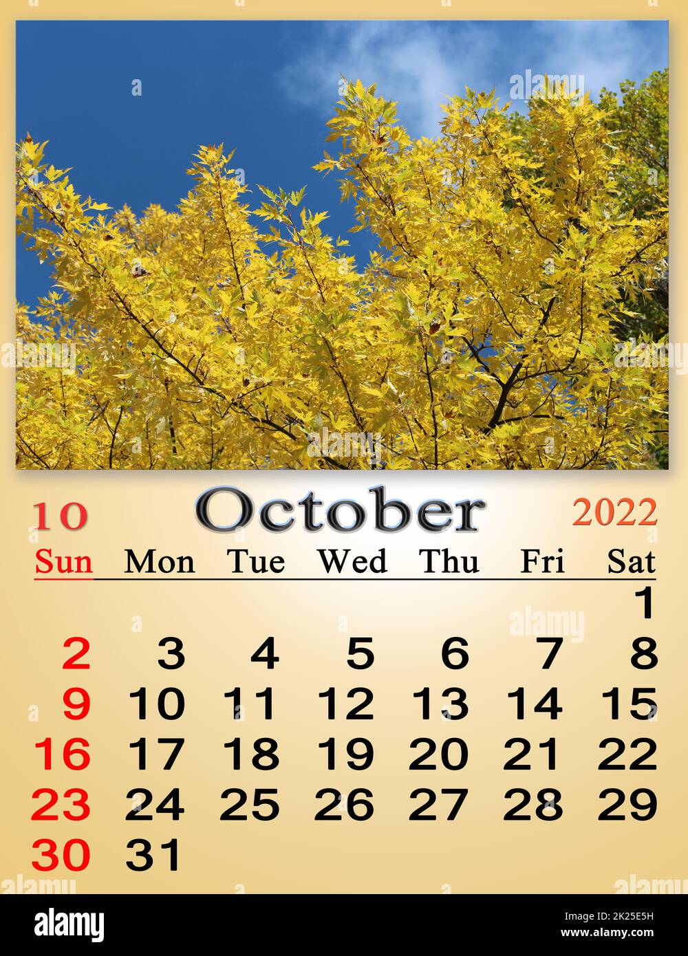 october 2022 calendar for organizer to plan and reminder on nature ...