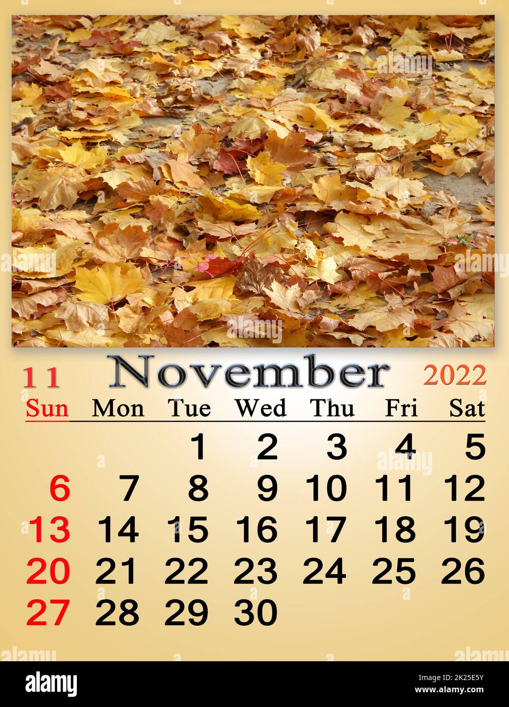calendar for November 2022 with autumn park with trees in yellow color ...