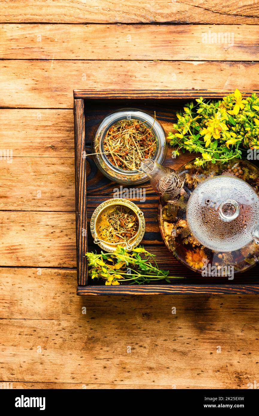 Fresh medicinal herbs hypericum Stock Photo - Alamy