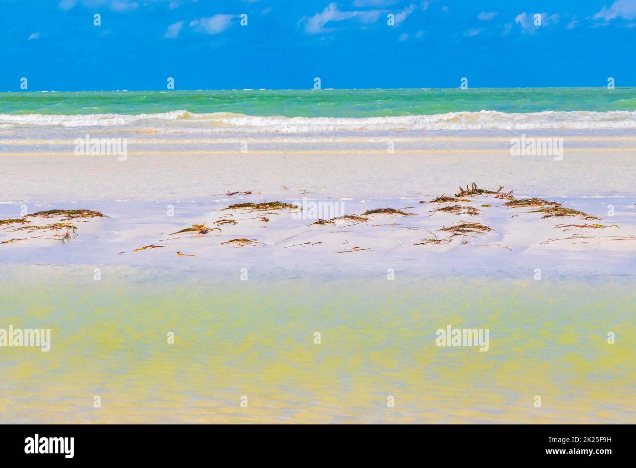 Beautiful Holbox island beach sandbank panorama turquoise water waves ...