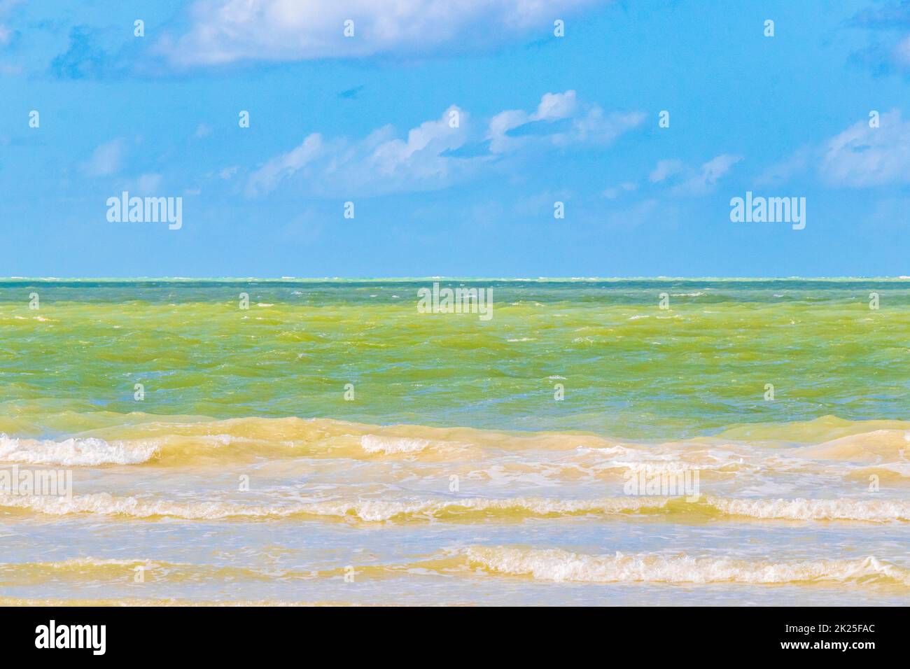 Beautiful Holbox island beach sandbank panorama turquoise water waves ...