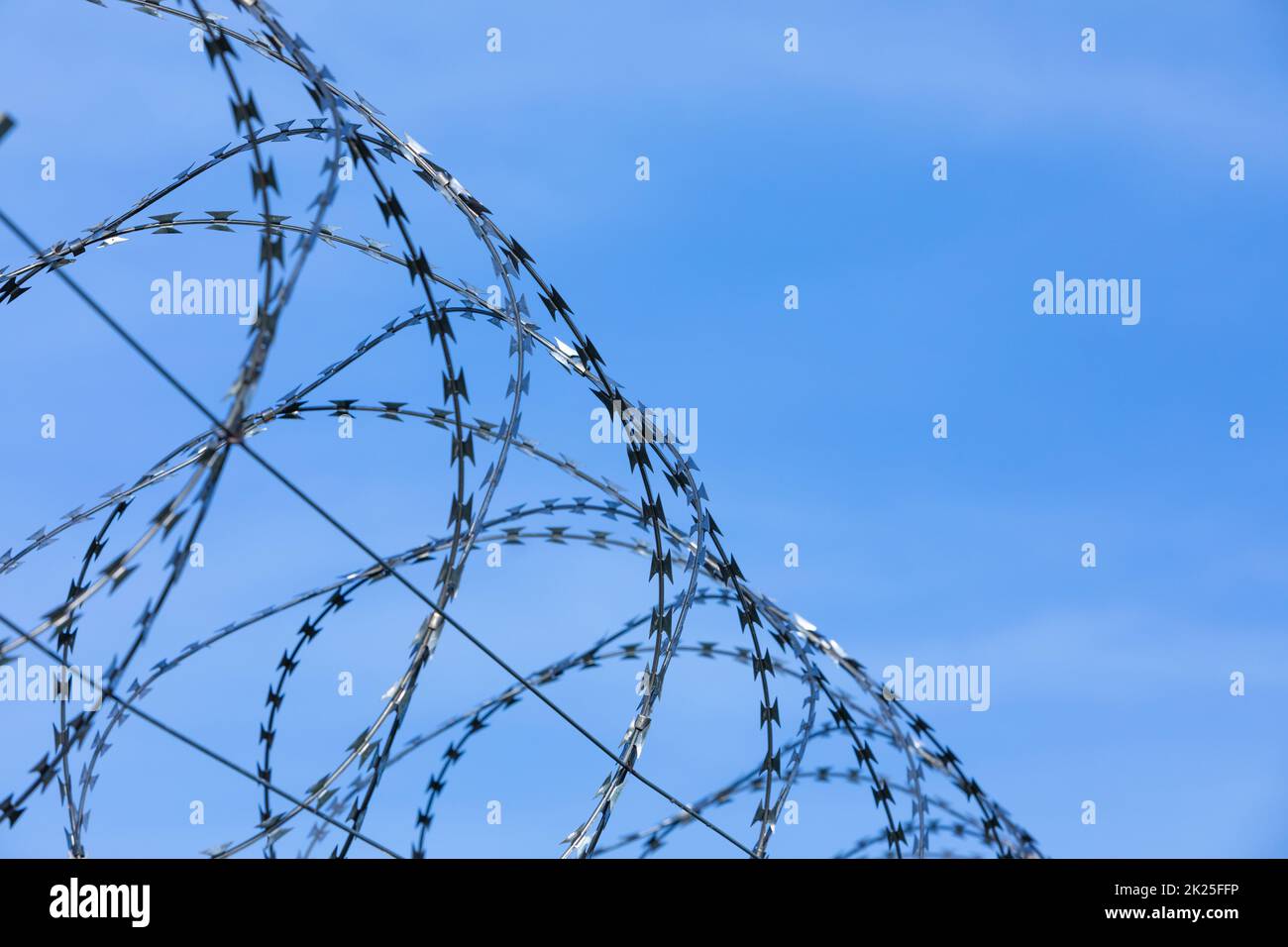Sharp detail hi-res stock photography and images - Alamy