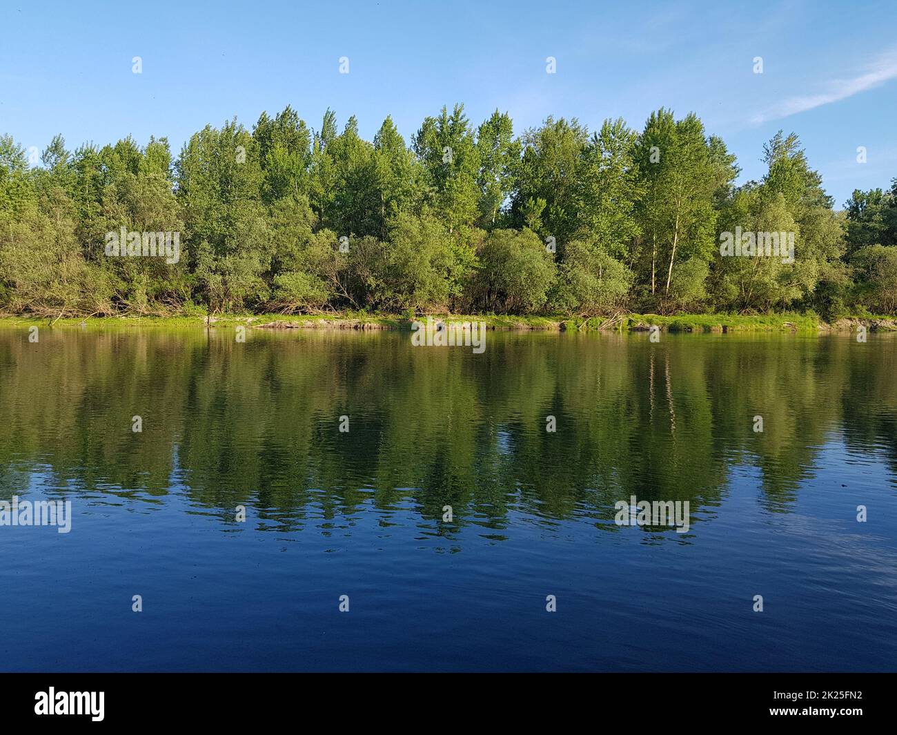 Beautiful scenery of a range of green trees reflecting in the lake ...