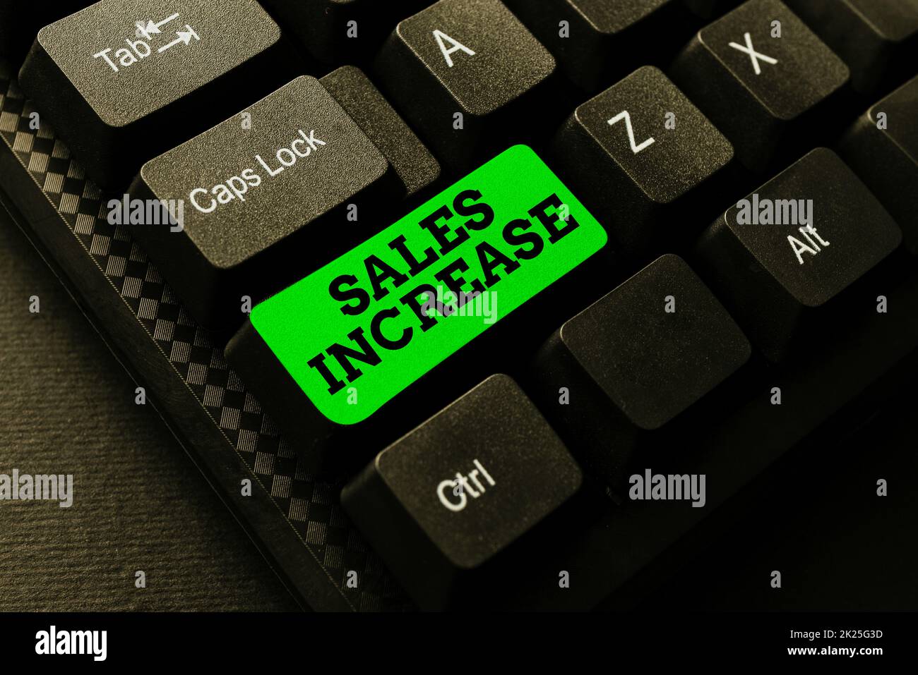 Text sign showing Sales Increase. Business overview Grow your business ...