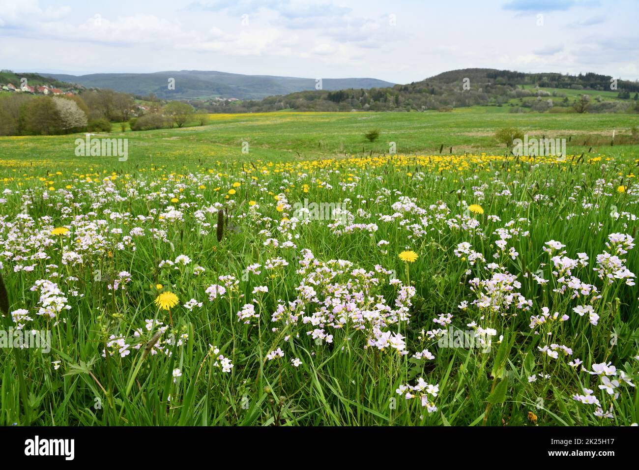 Damp grass hi-res stock photography and images - Alamy