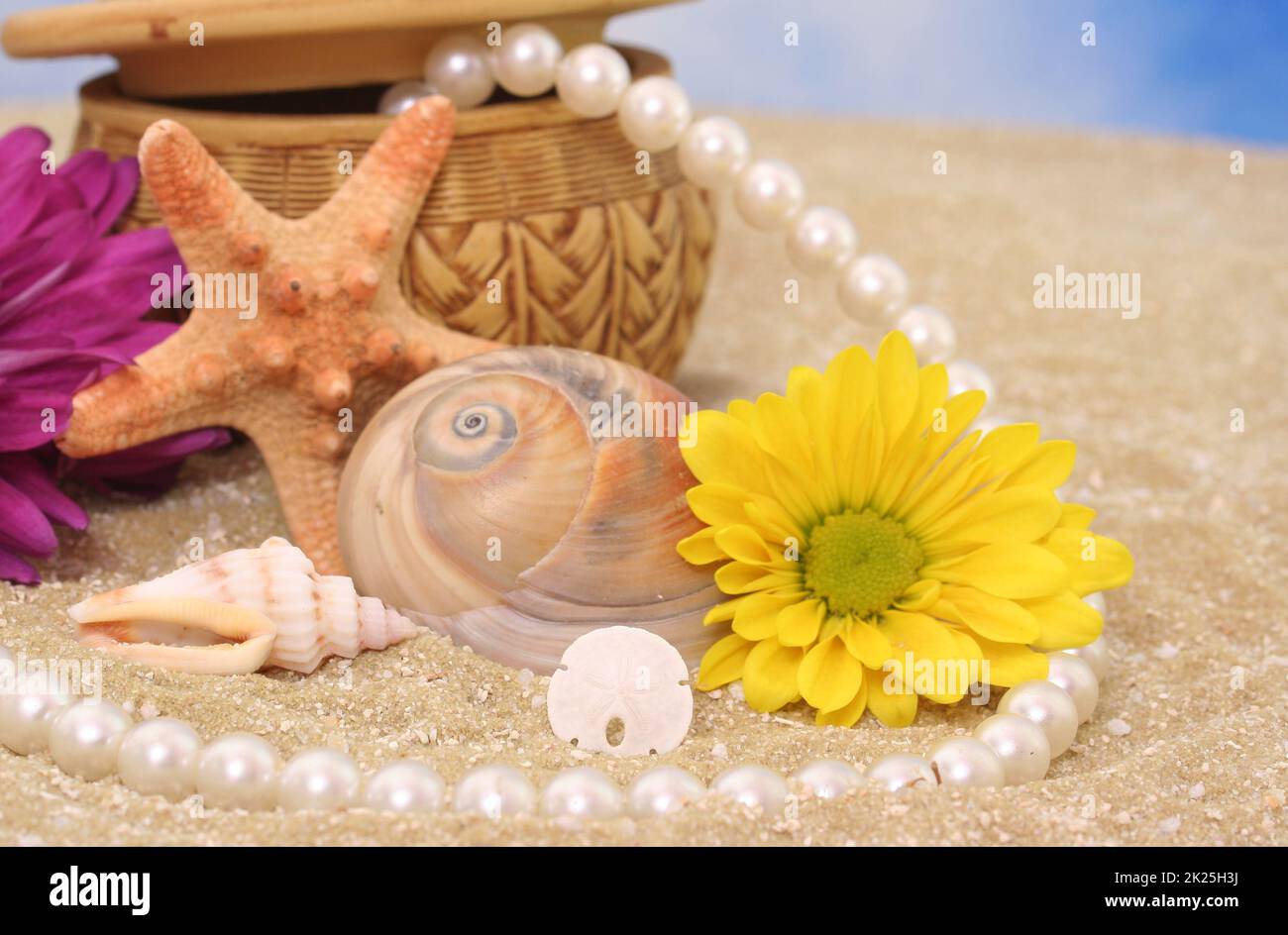 Flowers and Sea Shells on Sandy Beach, Shallow DOF Stock Photo - Alamy