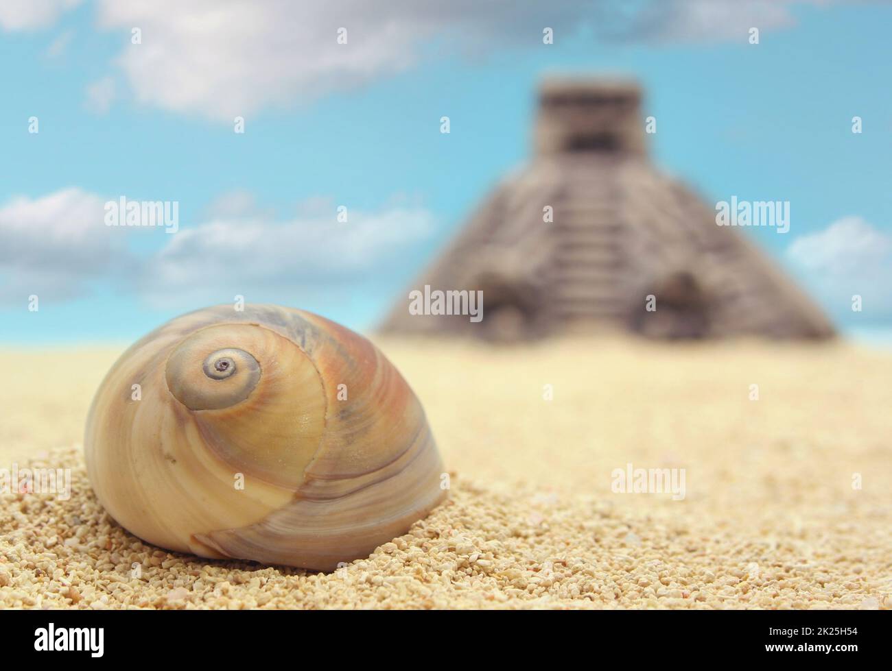 Sea Shell with Pyramid, Shallow Depth of Field Stock Photo - Alamy