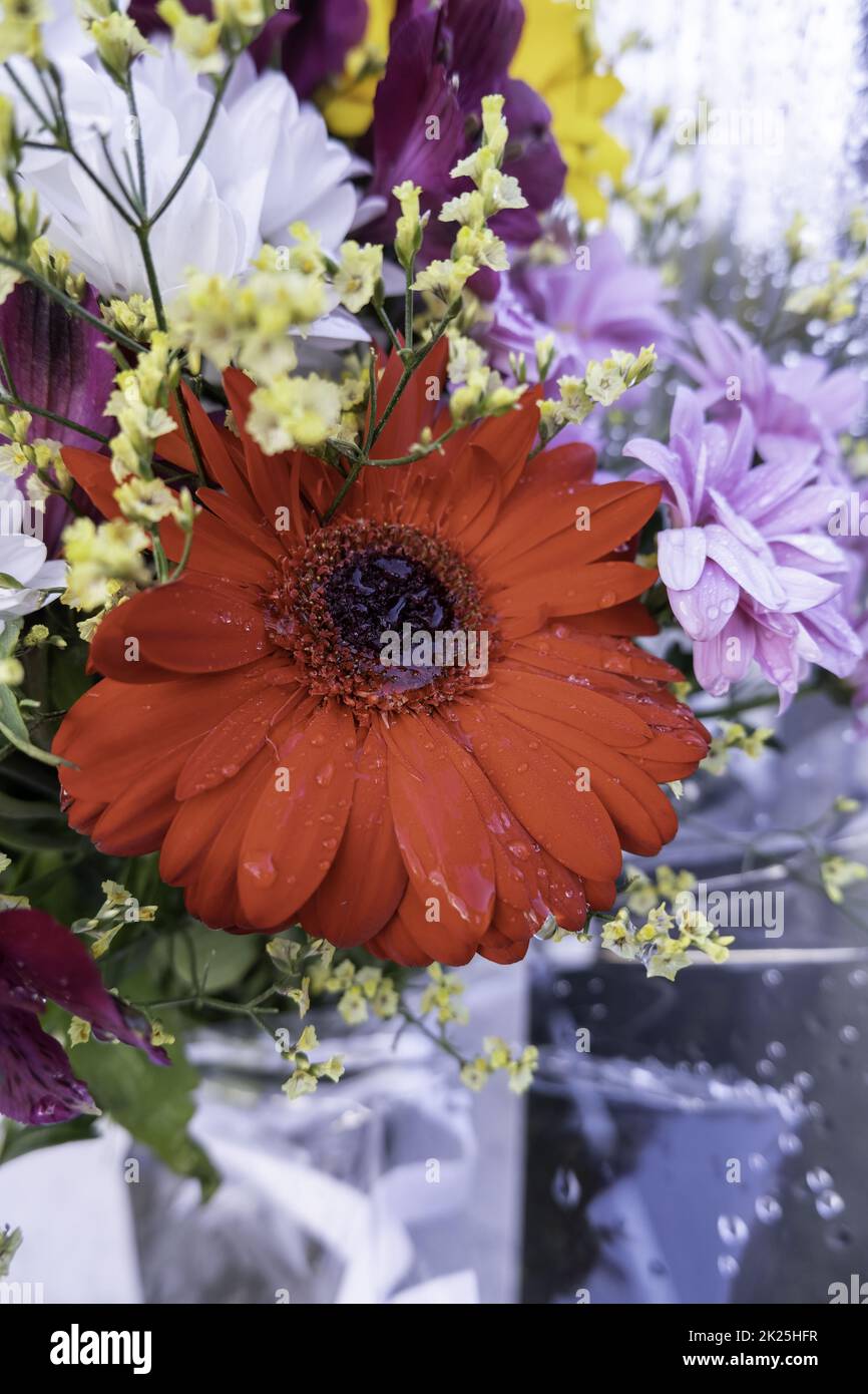 Flowers in a cemetery Stock Photo - Alamy