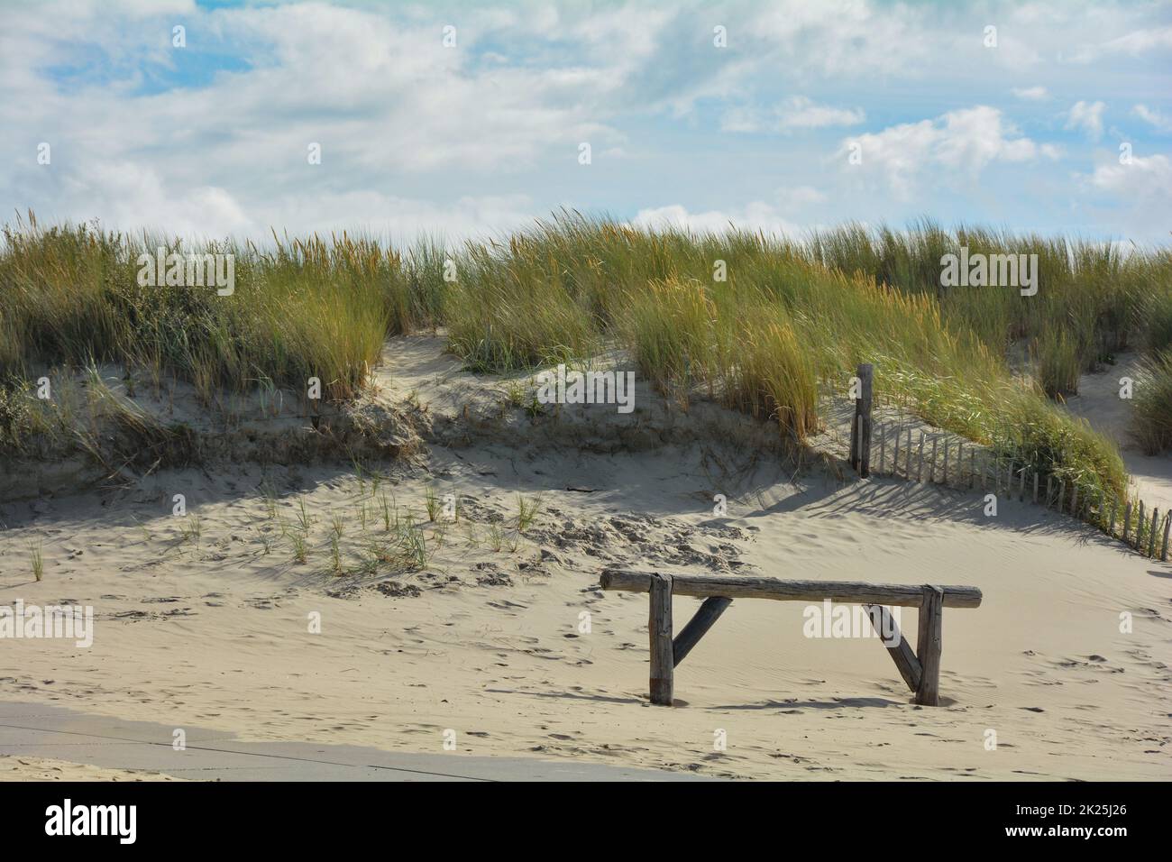Wooden gate on the sand beach in front of the dunes Stock Photo - Alamy