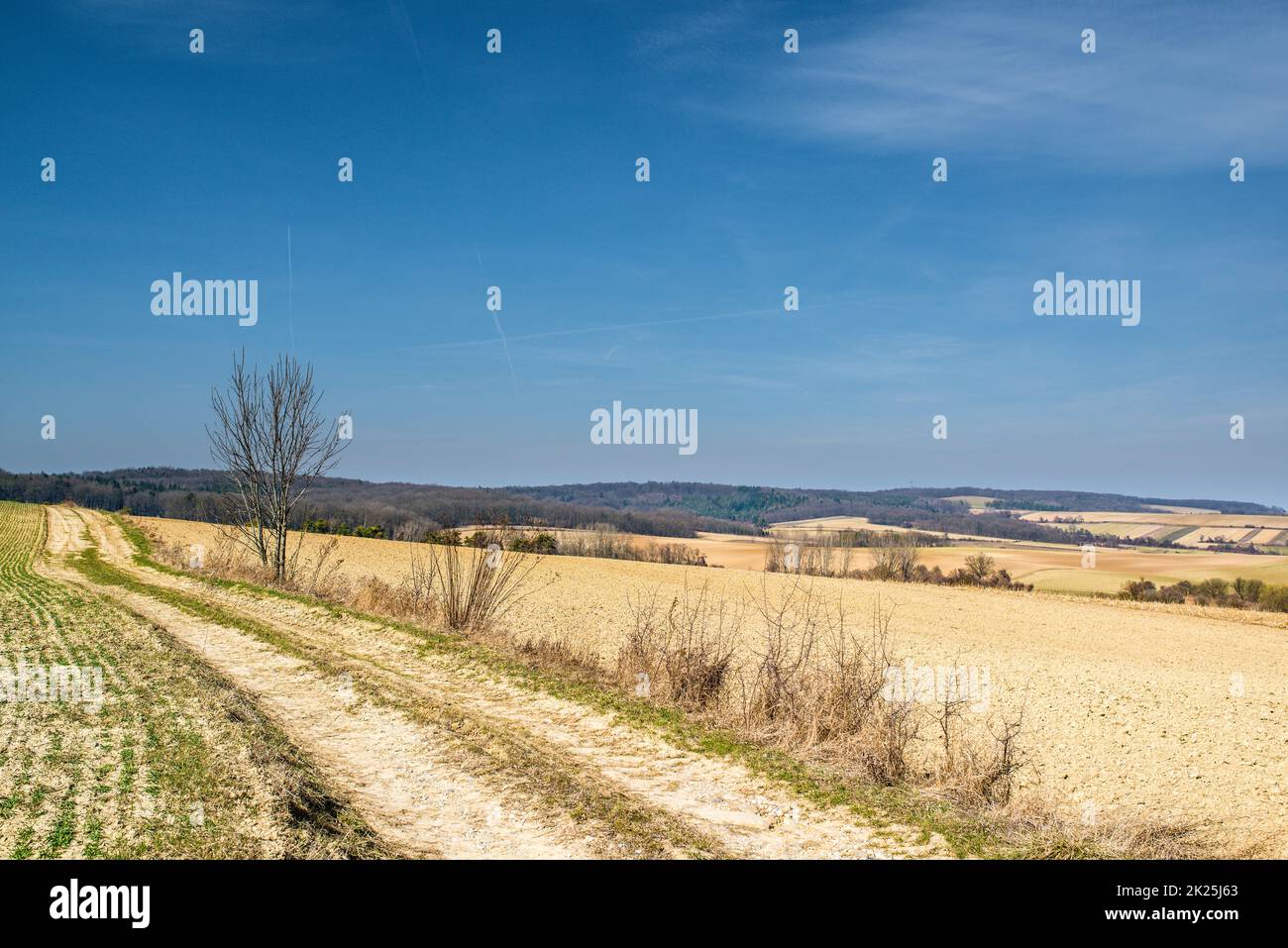 Flat open area hi-res stock photography and images - Alamy