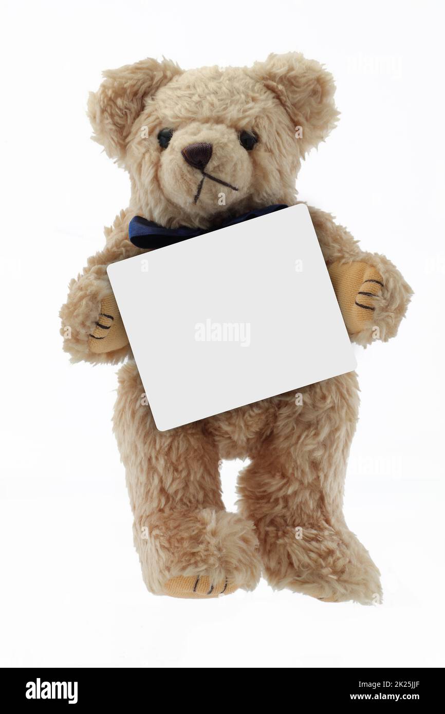Cute teddy bear holding a blank message copy space Stock Photo - Alamy