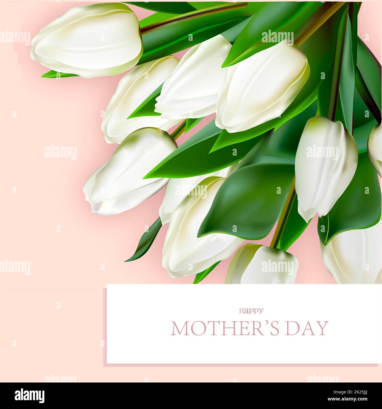 REALISTIC BOUQUET OF TULIPS. banner for mothers day.White tulips on ...