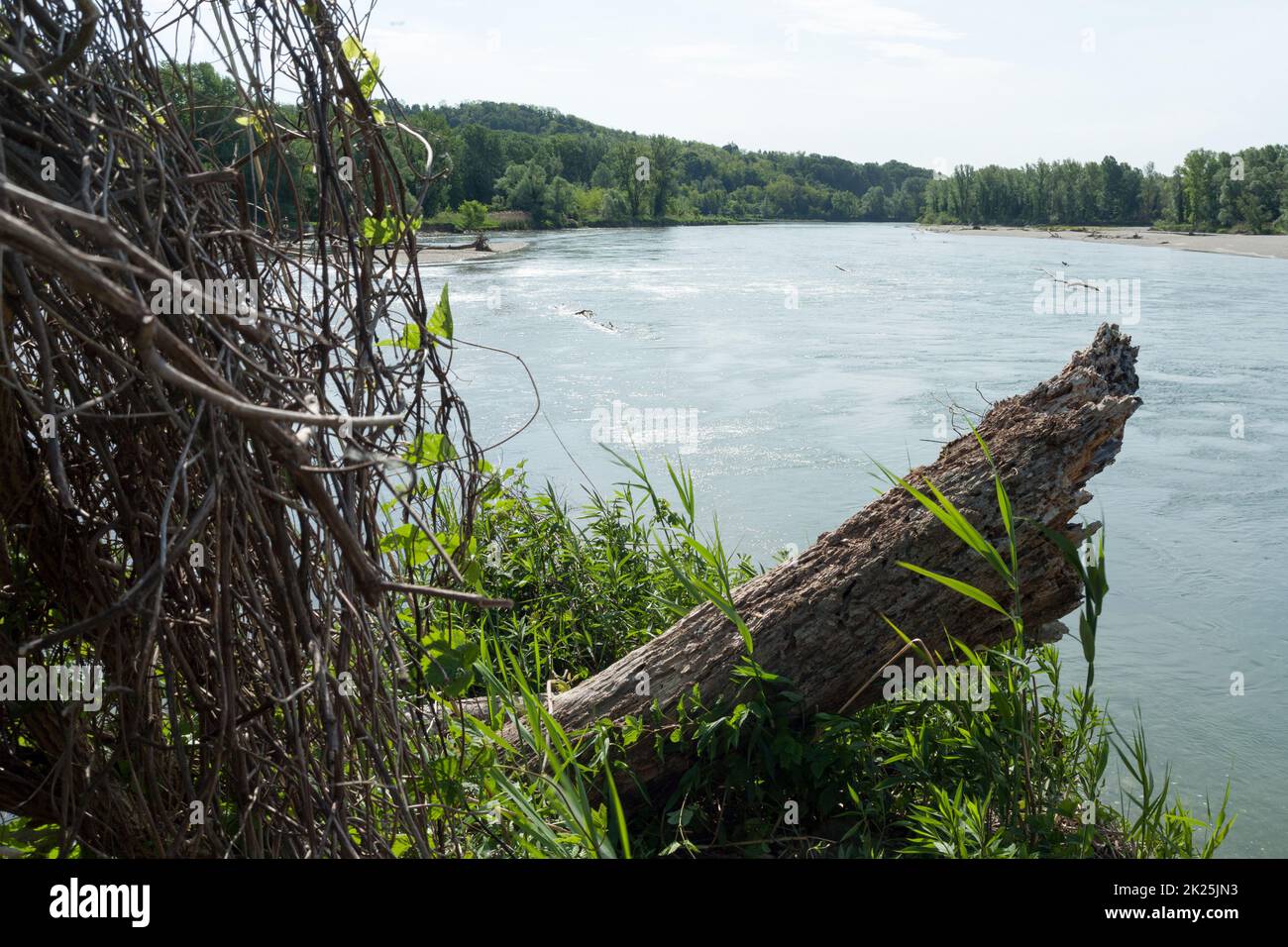 Reflective wallpaper hi-res stock photography and images - Alamy