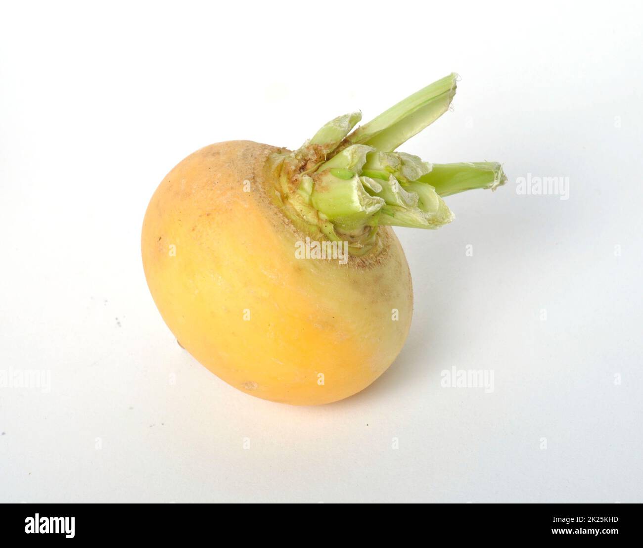 Fresh white turnips on hi-res stock photography and images - Alamy