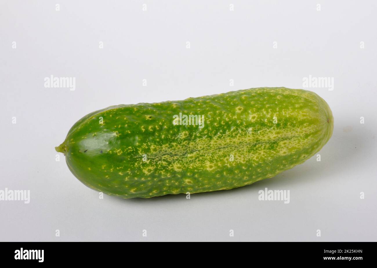 Small cucumber on a white background Stock Photo - Alamy
