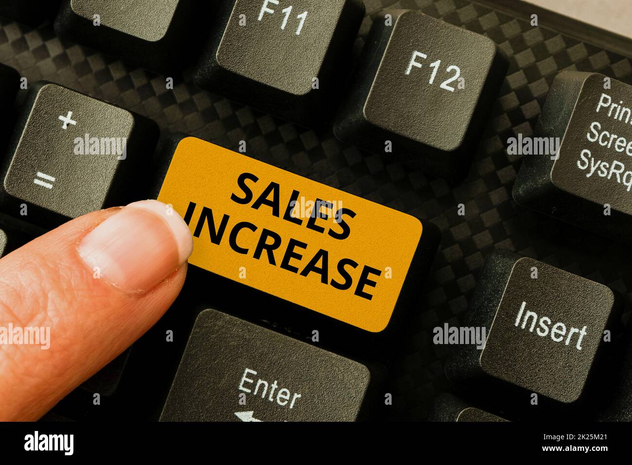 Text caption presenting Sales Increase. Word Written on Grow your ...