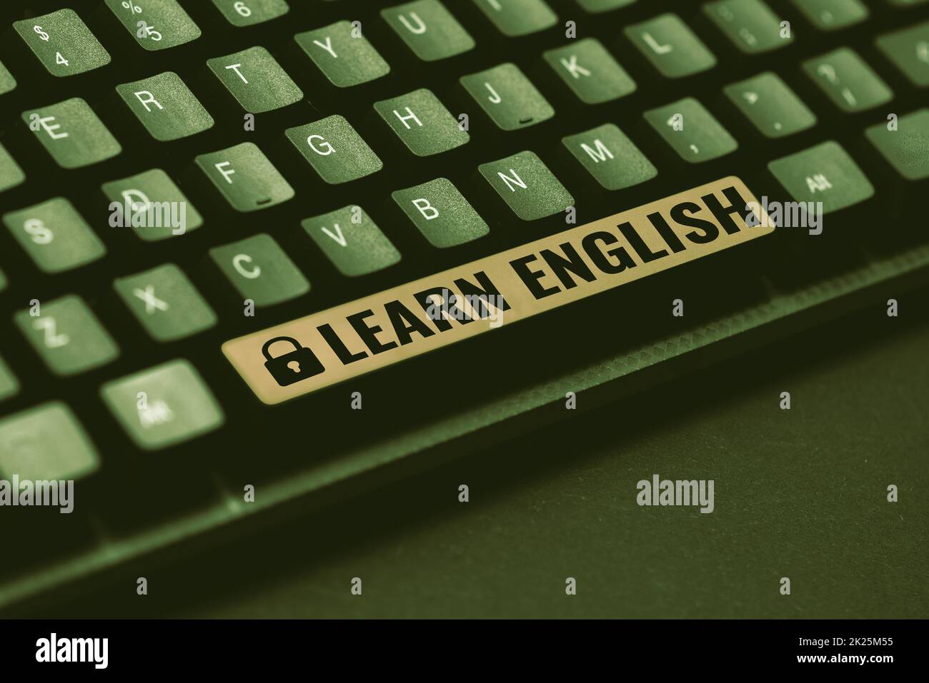 Conceptual caption Learn English. Business approach Universal Language ...