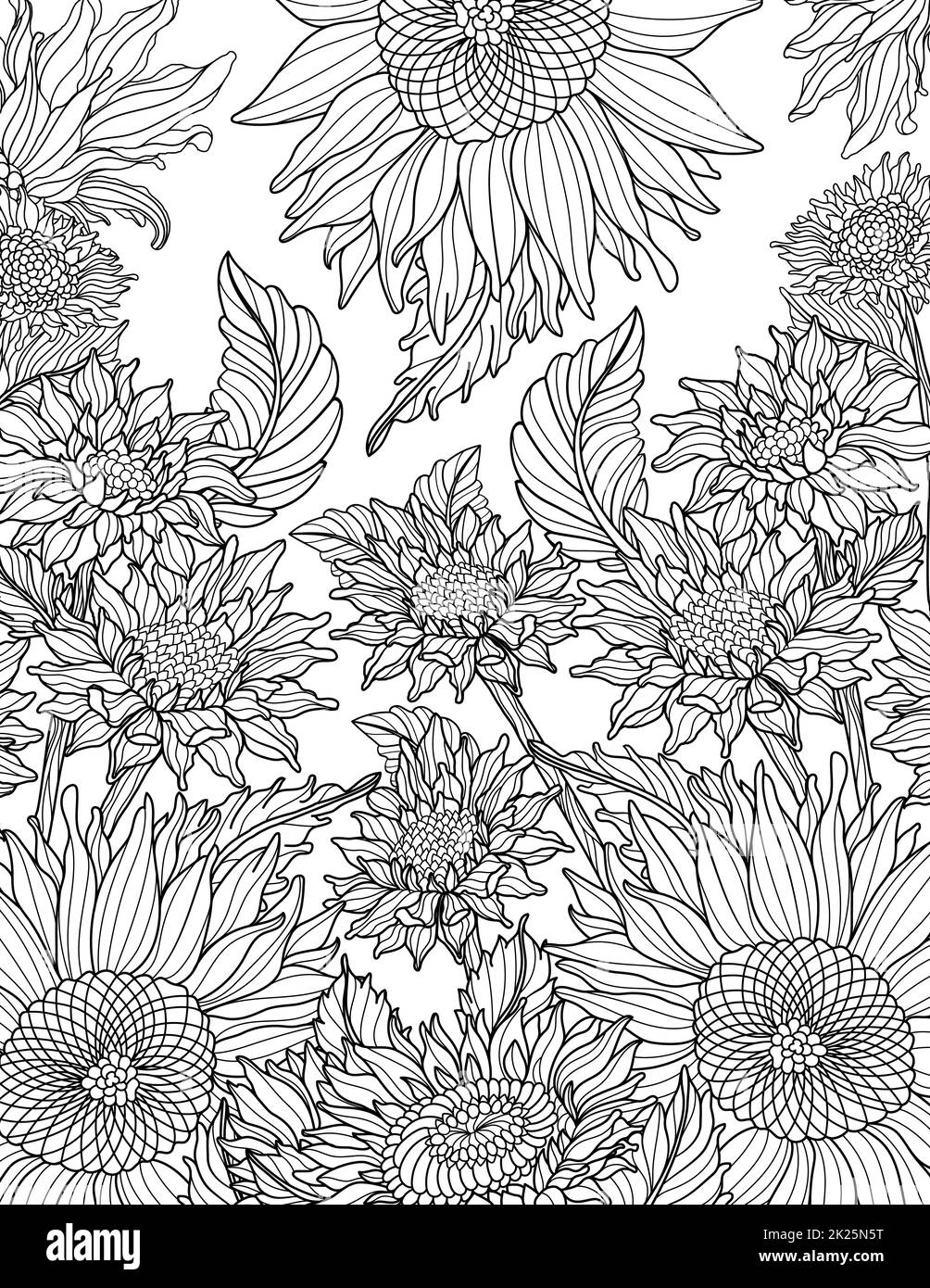 Coloring graphic element design Black and White Stock Photos & Images ...