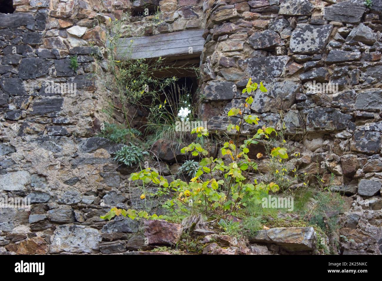 Loophole in the walls of Cornstejn castle Stock Photo - Alamy