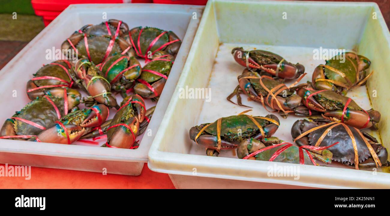 Seafood live crabs shellfish crustaceans Thai market China Town Bangkok ...
