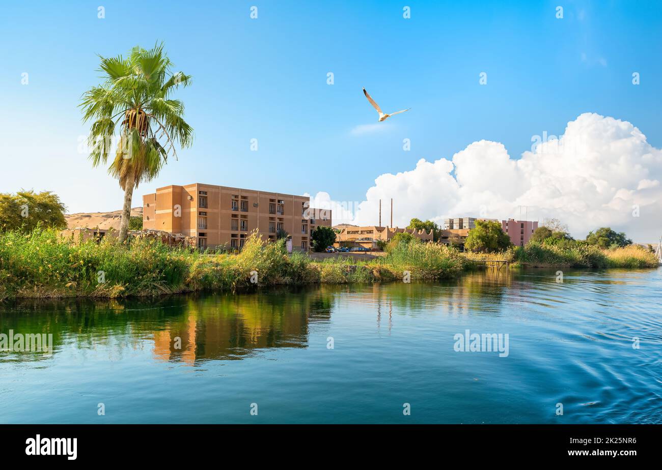 Ancient egyptian nile river boats hi-res stock photography and images ...