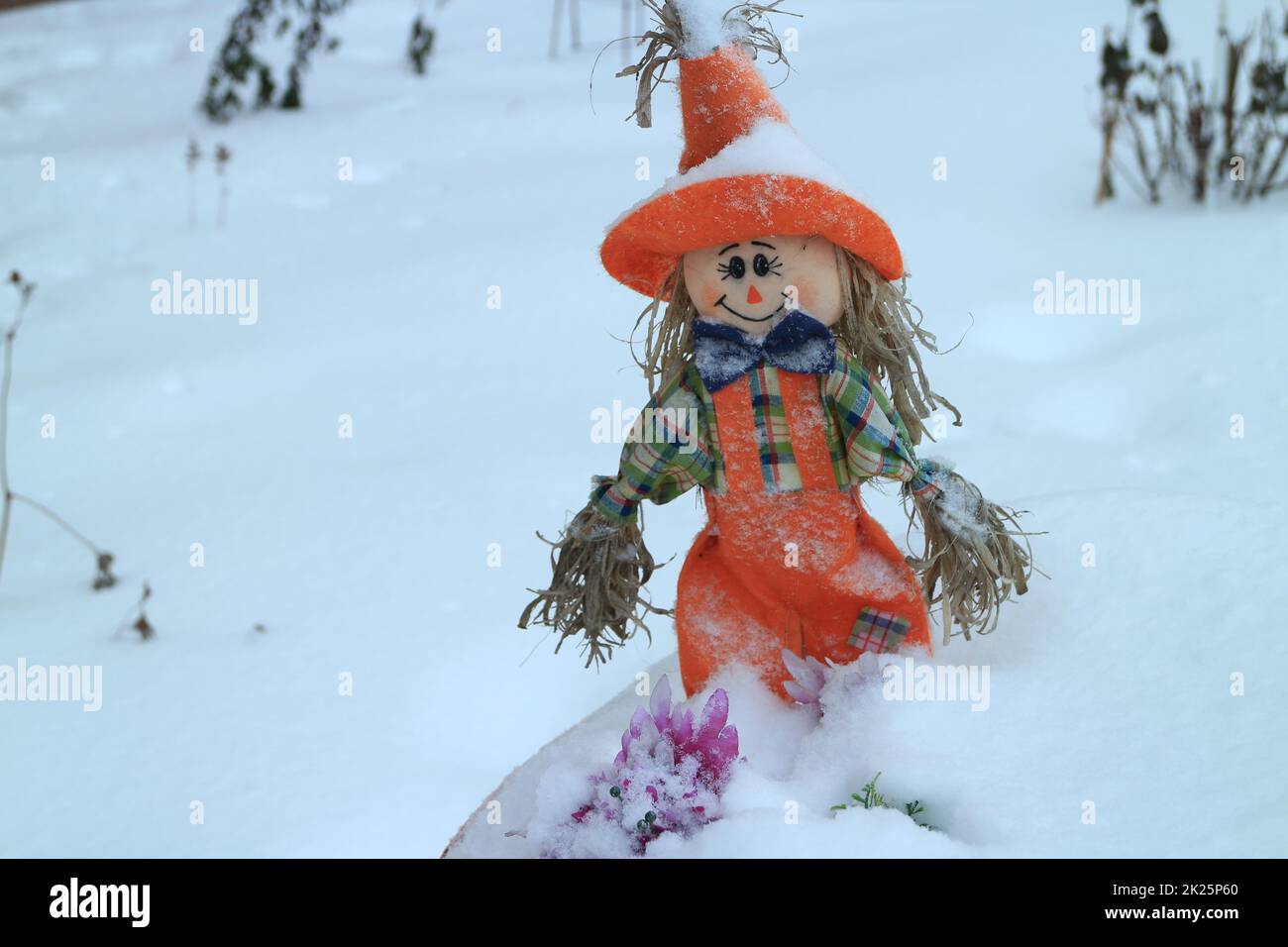 scarecrow on a field covered with deep snow Stock Photo - Alamy