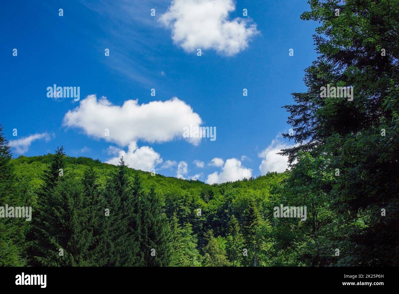 Spring landscapes blue sky hi-res stock photography and images - Alamy