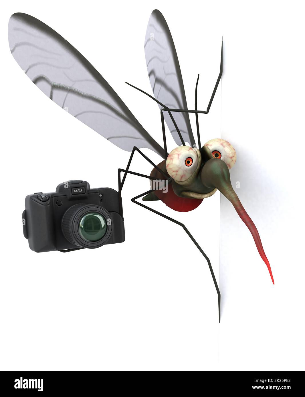 Mosquito - 3D Illustration Stock Photo - Alamy