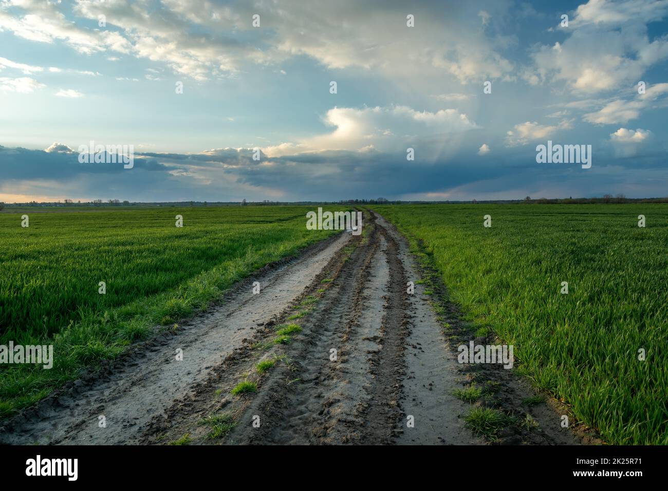 Dirt trail through green hi-res stock photography and images - Alamy