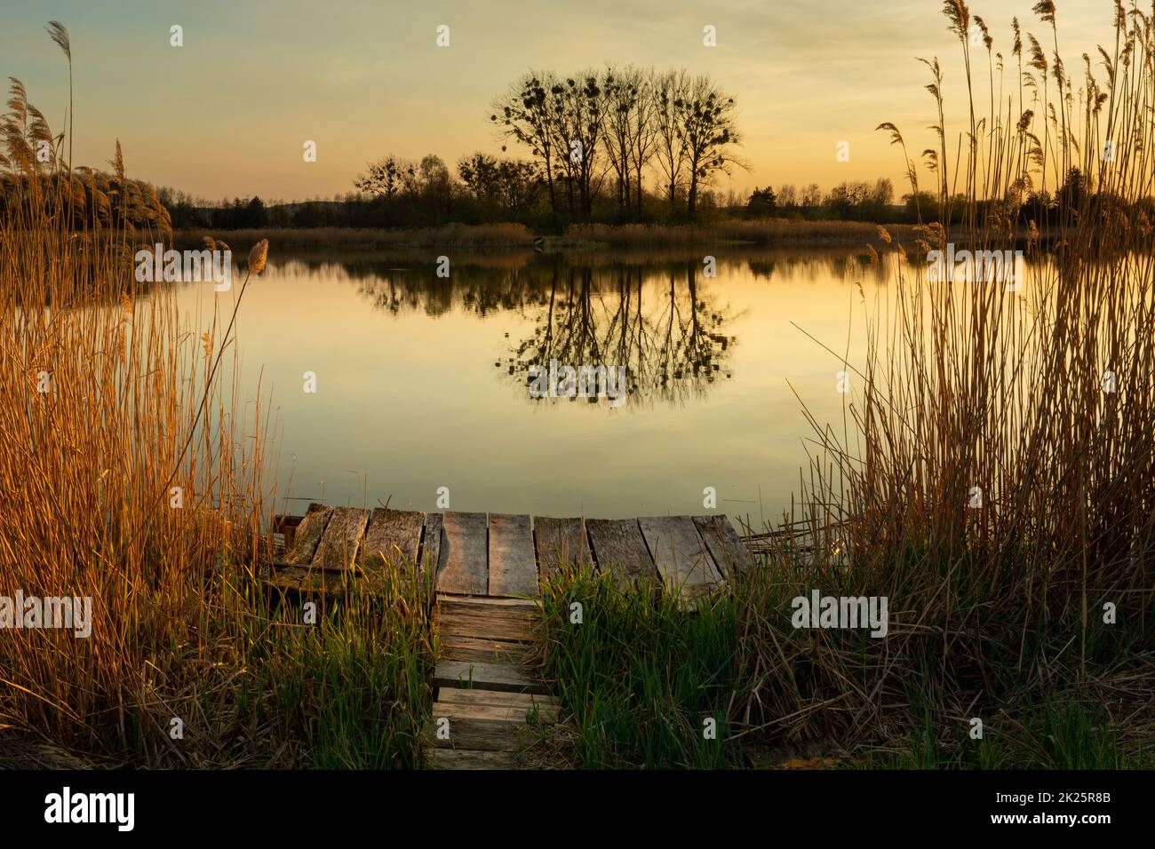 Wooden pier in the lake and reflection of trees in the water Stock ...