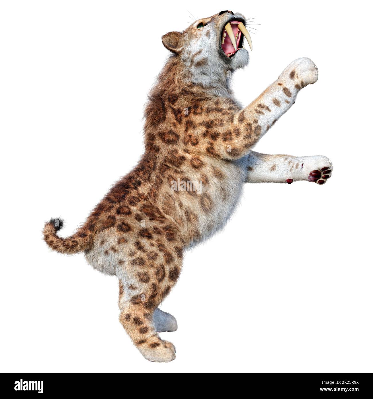 Sabertooth teeth Cut Out Stock Images & Pictures - Alamy