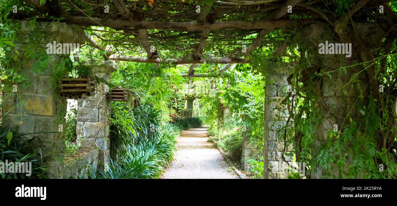 Garden with Pergola structure during summer season. Architecture and ...