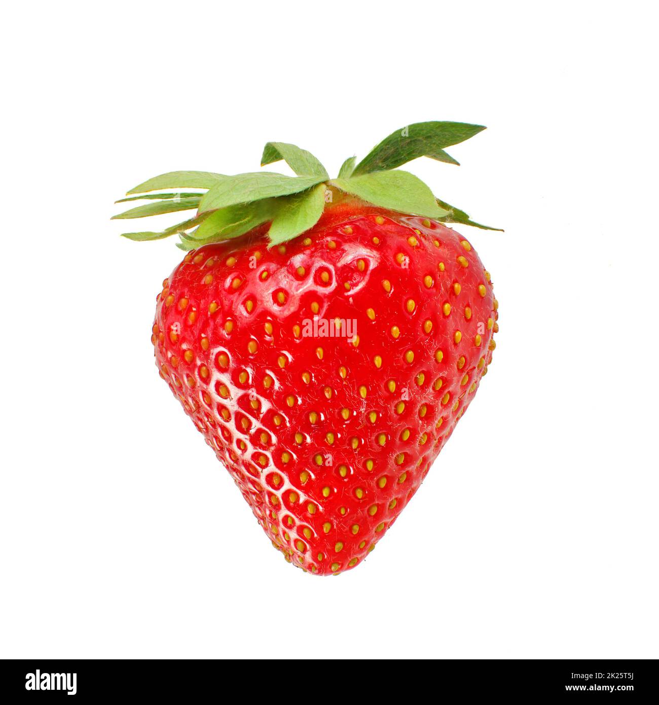 Single Strawberry