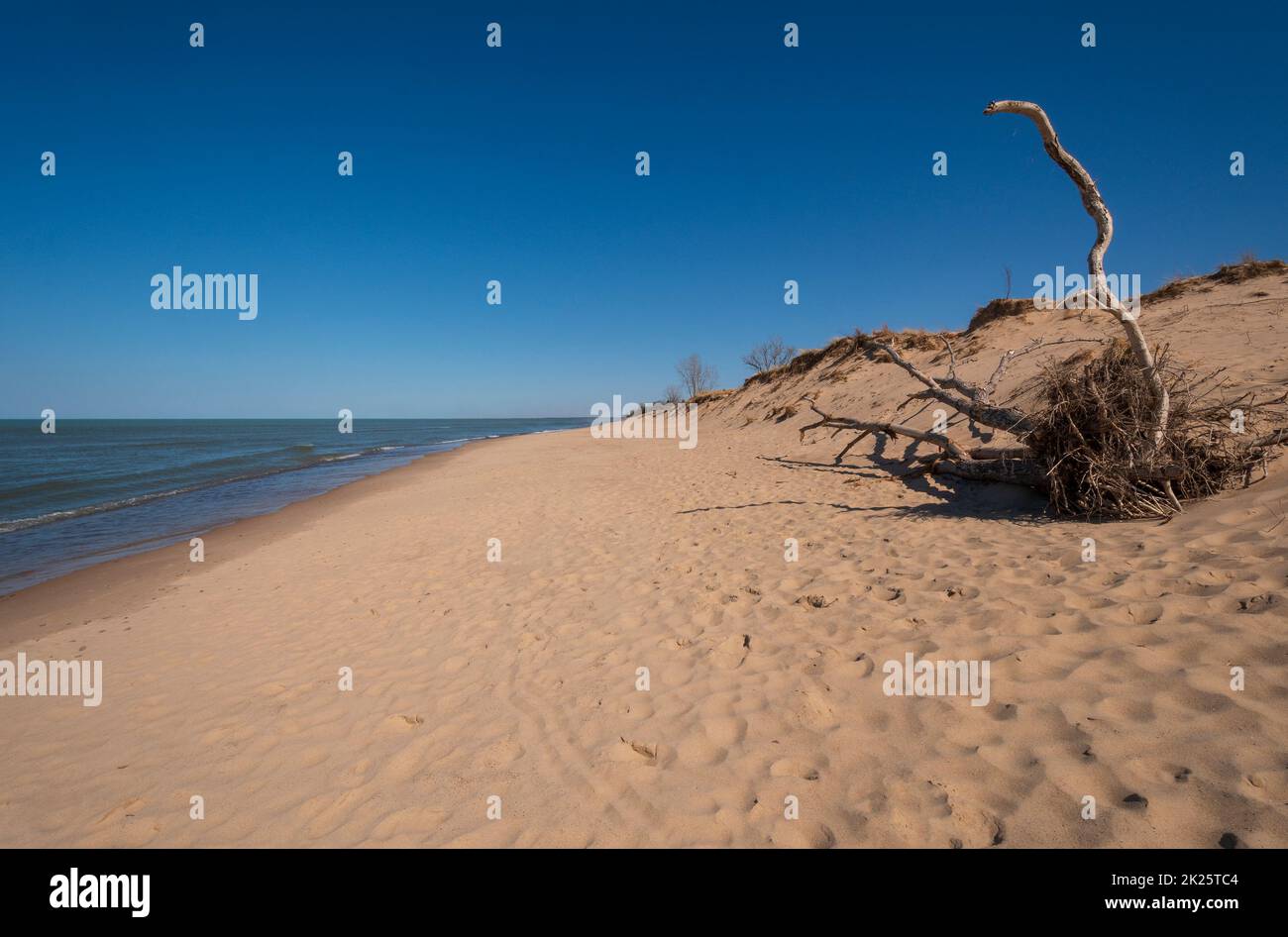 Lakeshore exploration hi-res stock photography and images - Alamy