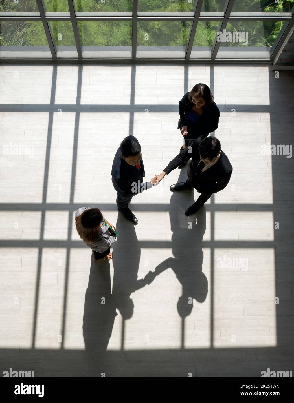 Business partners shaking hands in the modern office. Standing near the ...