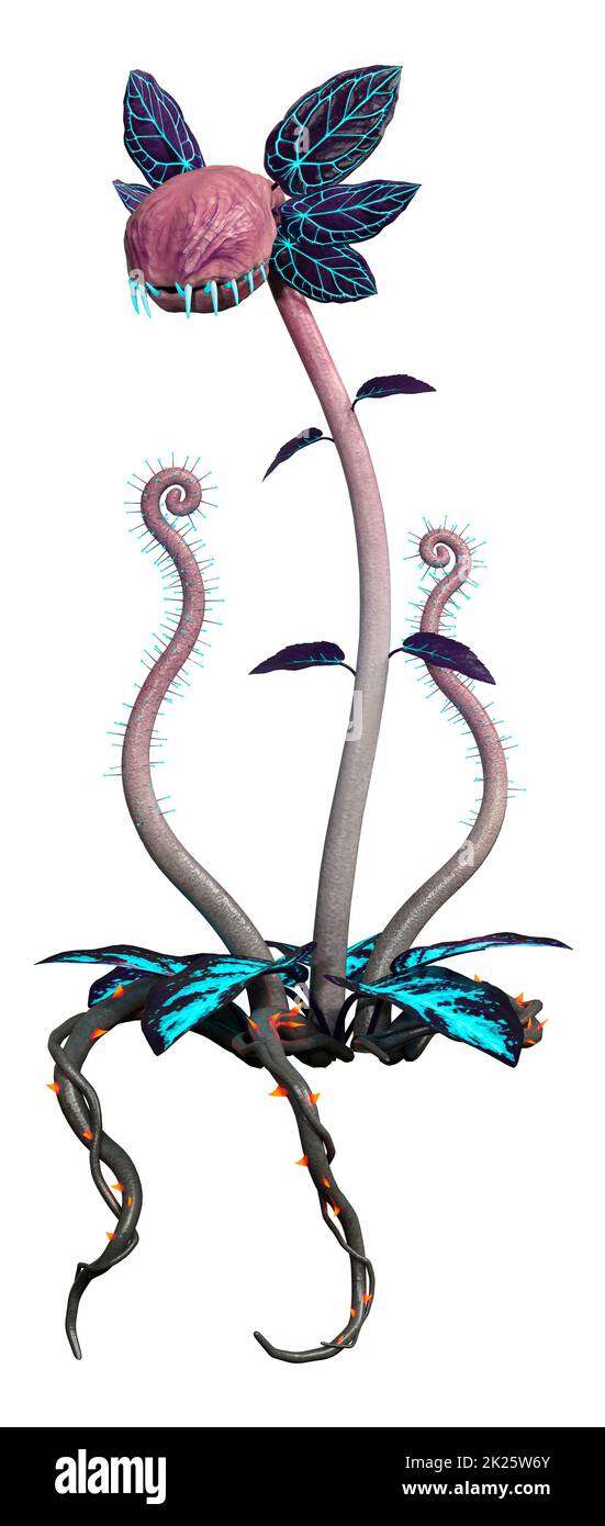 Carnivorous leaves Cut Out Stock Images & Pictures - Alamy