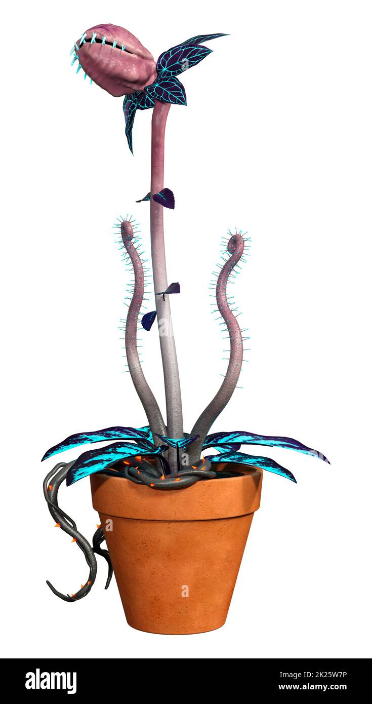 Carnivorous leaves Cut Out Stock Images & Pictures - Alamy