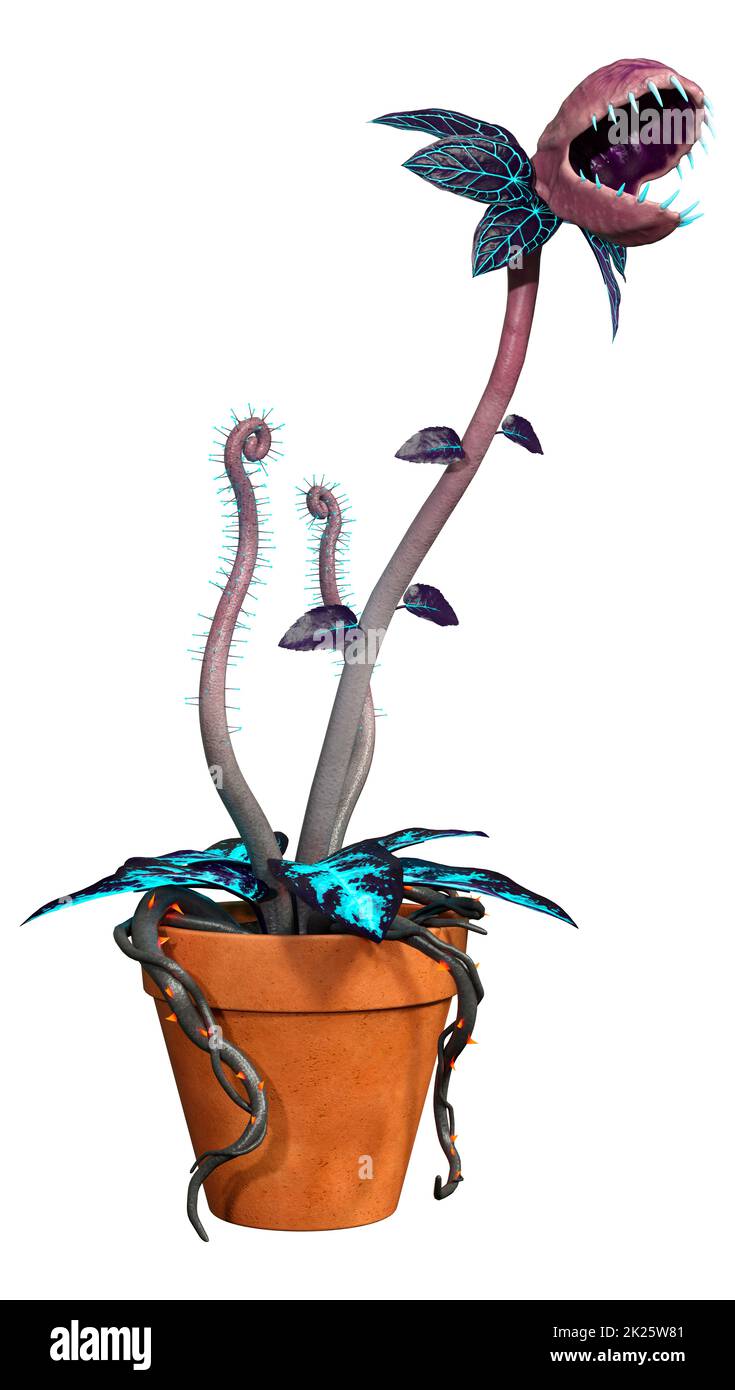 Carnivorous leaves Cut Out Stock Images & Pictures - Alamy